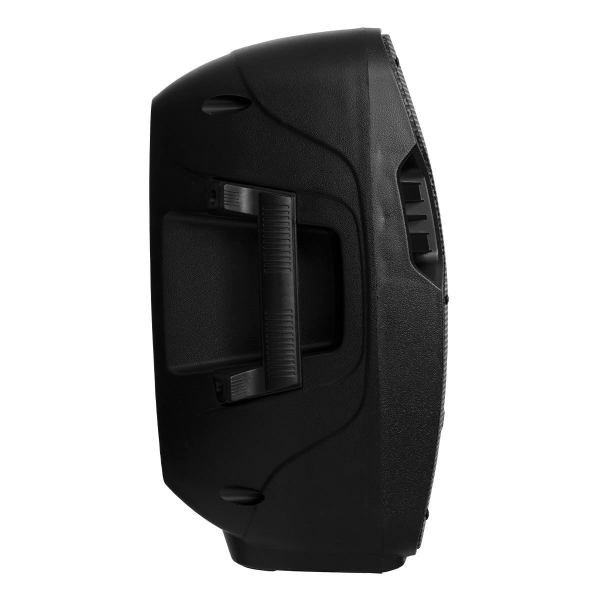 Bafle profesional 8” 6,500 W PMPO, micrófono alámbrico – KAISER